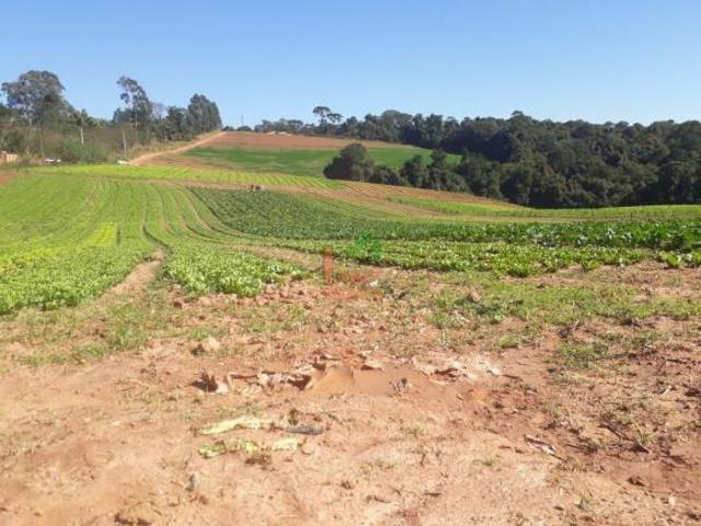 Terreno à venda em Ibiúna