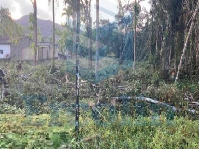 TERRENO A VENDA EM IGUAPE BAIRRO ICAPARA IGUAPE POR R$ 80.000,00