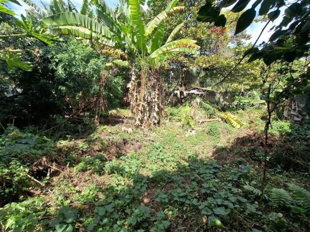 Terreno à venda em Ilhabela!