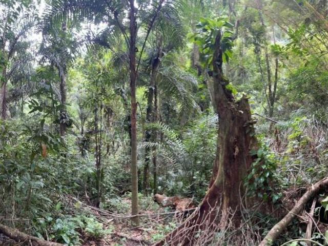 Terreno á venda em Ilhabela SP Escritura definitiva