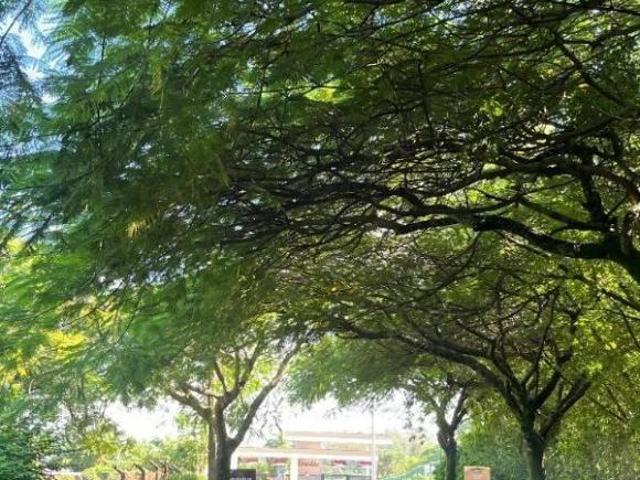 Terreno à venda em Itupeva