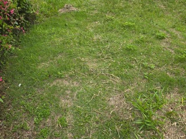 Terreno à venda em Itupeva, Serra Azul, com 880 m², Condomínio Cafezal VII