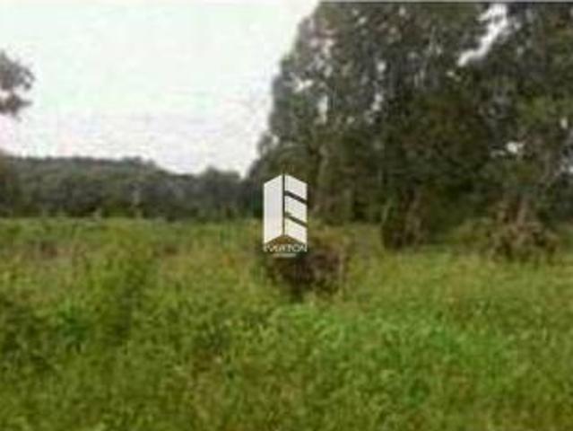 Terreno à venda em Itaara