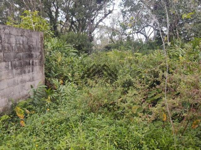 TERRENO A VENDA EM ITANHAÉM 275M² LADO SERRA. ACEITA ENTRADA E PARCELAS
