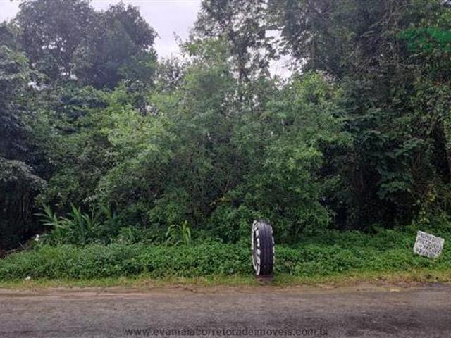 Terreno à venda em Itanhaém