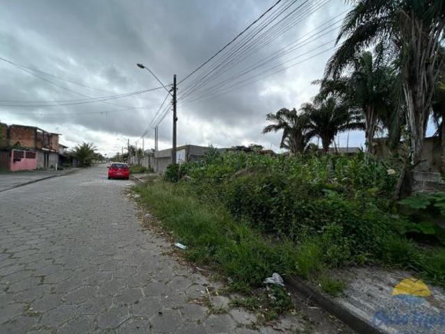 Terreno à venda em Itanhaém