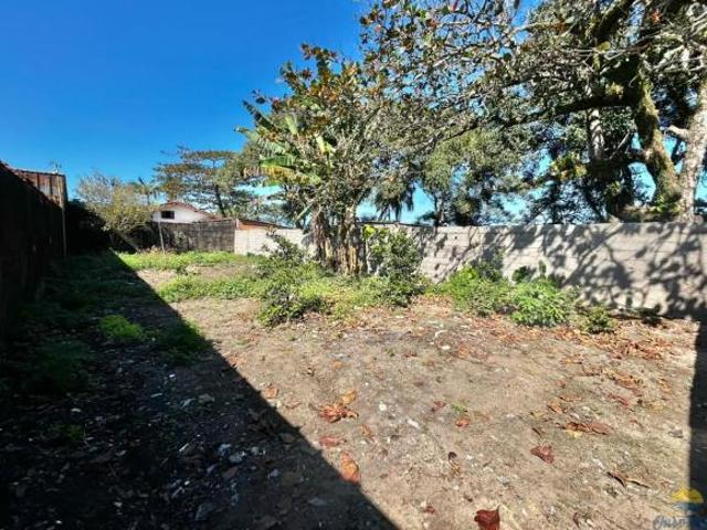 Terreno à venda em Itanhaém