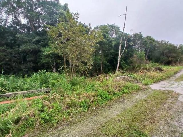 TERRENO À VENDA EM ITANHAÉM COM ENTRADA E PARCELAS