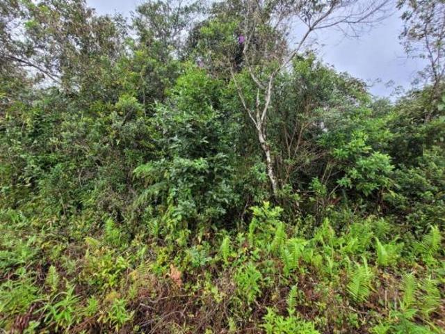 Terreno à venda em Itanhaém R$ 45.000,00