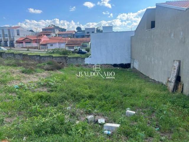 Terreno à venda em Itapeva MG com excelente topografia 250 metros