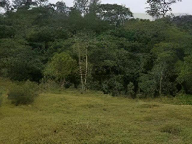 Terreno à venda em Itaquaquecetuba