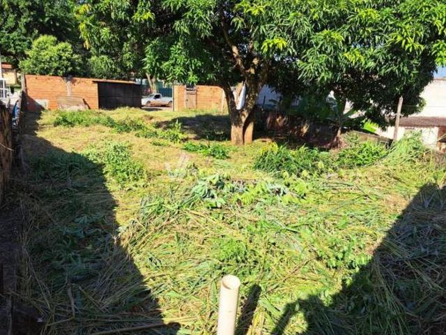 terreno à venda em João Aranha