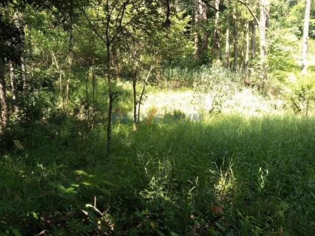 terreno à venda em Joaquim Egídio