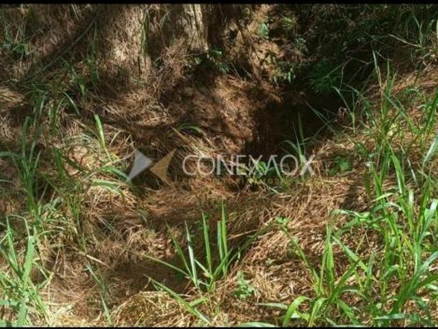 terreno à venda em Joaquim Egídio