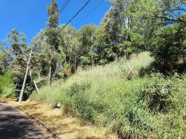 terreno à venda em Joaquim Egídio