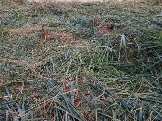 terreno à venda em Joaquim Egídio