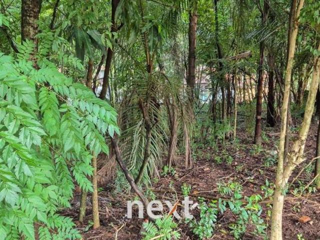 terreno à venda em Joaquim Egídio
