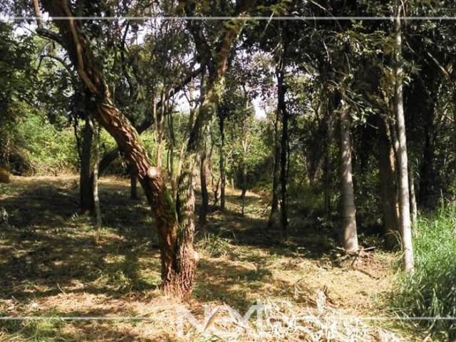 terreno à venda em Joaquim Egidio