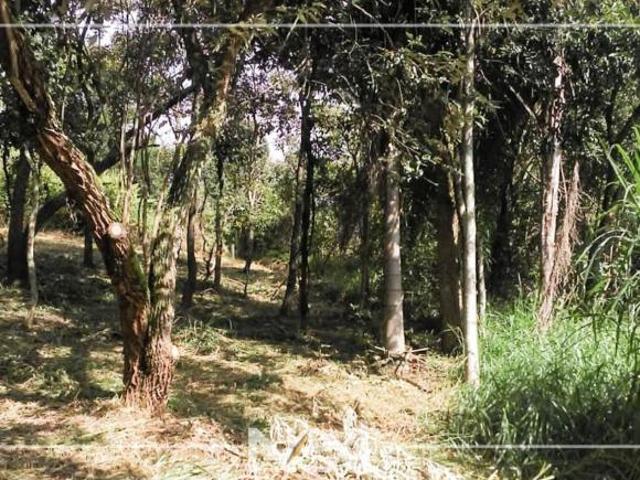 terreno à venda em Joaquim Egidio