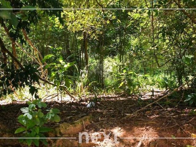 Terreno à venda em Joaquim Egídio Campinas SP
