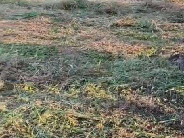 Terreno a venda em Jaú/SP Condominio Laguna Castelam
