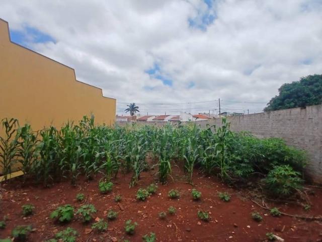 Terreno a venda em Jaú/SP Jardim Novo Horizonte