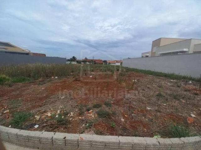 Terreno a venda em Jaú/SP Jardim Alvorada I