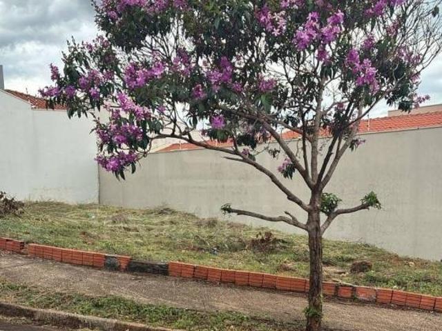 Terreno a venda em Jaú/SP Jardim Campos Prado