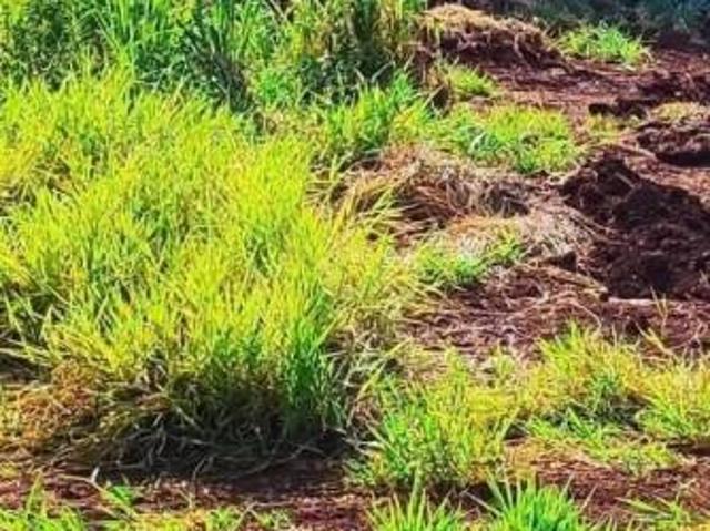 Terreno a venda em Jaú/SP Residencial Campo Belo