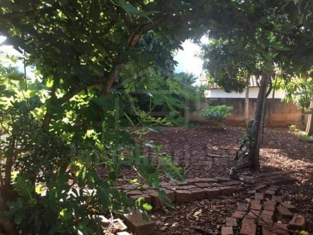 Terreno a venda em Jaú/SP Vila Assis