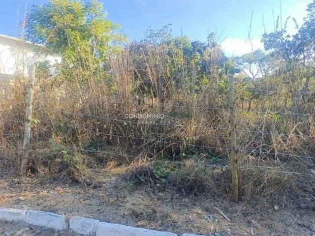 Terreno à venda em Jacques Ville