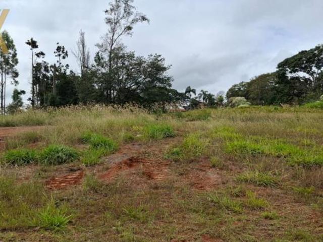 Terreno à venda em Jaguariúna, Colina do Castelo, com 250 m², La Dolce Vita