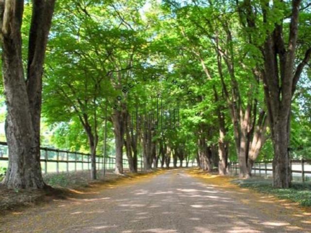 Terreno à venda em Jaguariúna, Reserva Santa Izabel, com 481.38 m²