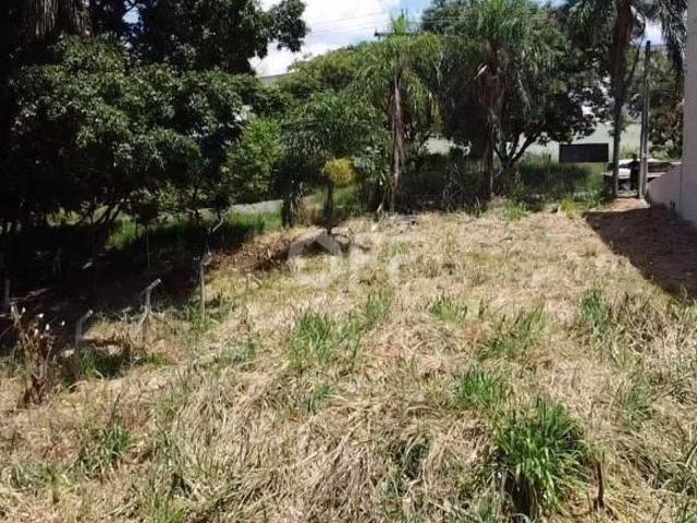 terreno à venda em Jardim Madalena