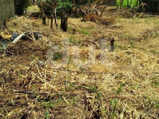 terreno à venda em Jardim Nova Esperança