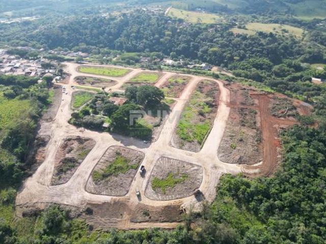 terreno à venda em Jardim Aliança
