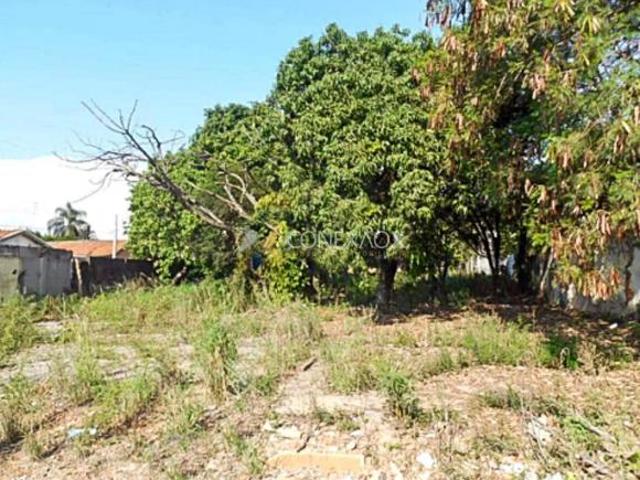 terreno à venda em Jardim Amanda