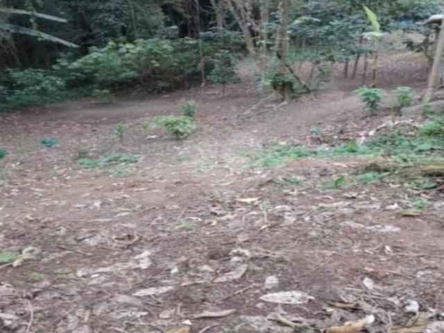 Terreno à venda em Jardim ampliação SP