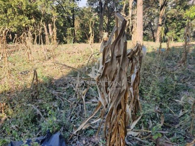 terreno à venda em Jardim Bela Vista