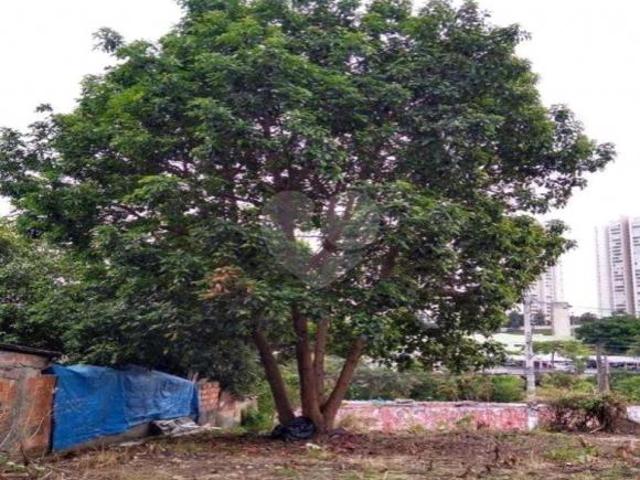 Terreno à venda em Jardim cambara SP