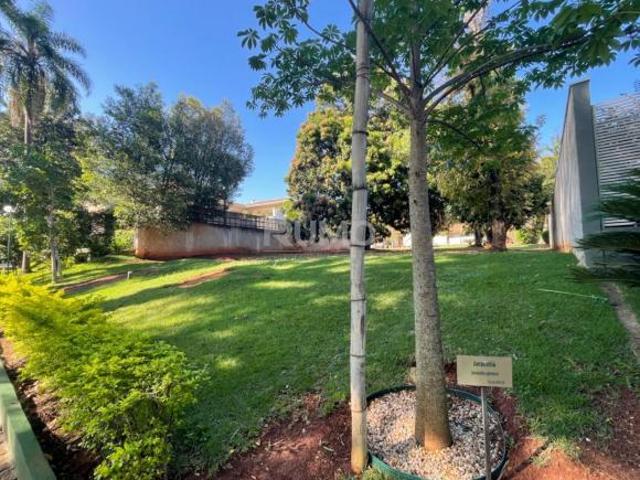 terreno à venda em Jardim Chapadão