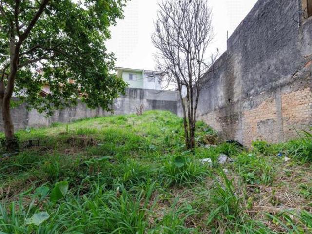 Terreno à venda em Jardim consórcio SP
