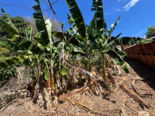 terreno à venda em Jardim das Oliveiras
