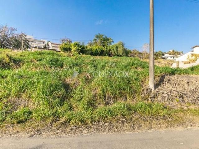 terreno à venda em Jardim das Paineiras