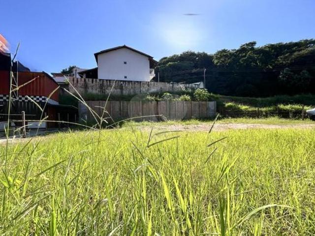 Terreno à venda em Jardim das palmeiras SP