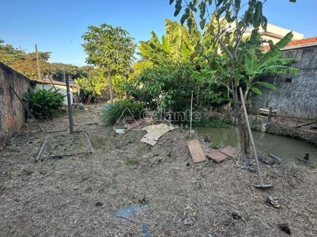 terreno à venda em Jardim dos Oliveiras