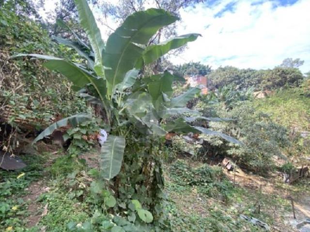 Terreno à venda em Jardim Fonte Do Morumbi SP