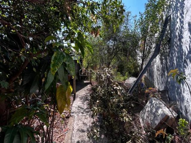 terreno à venda em Jardim Guarani