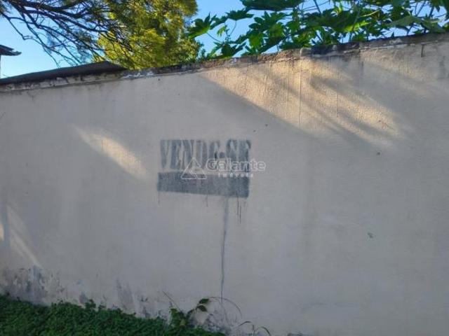terreno à venda em Jardim Itamarati