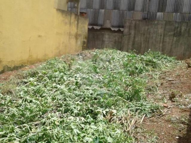 Terreno à venda em Jardim labitary SP